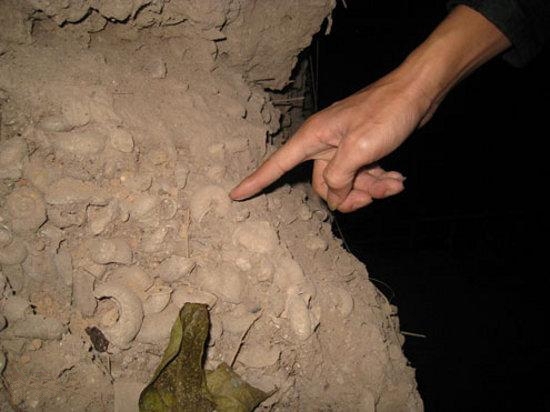 Du lịch Hang Con Moong