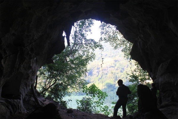 Du lịch Hang Con Moong
